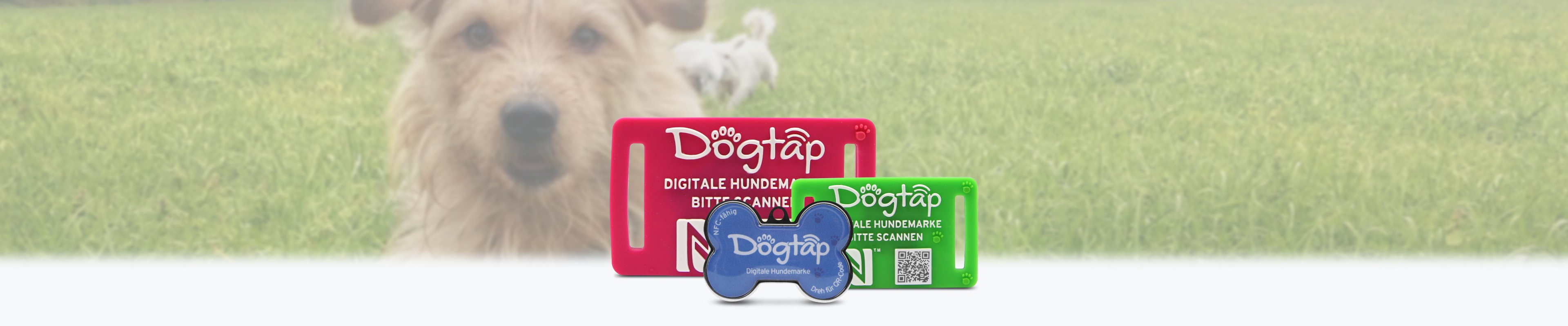 Dogtap - the digital dog tag | NFC21